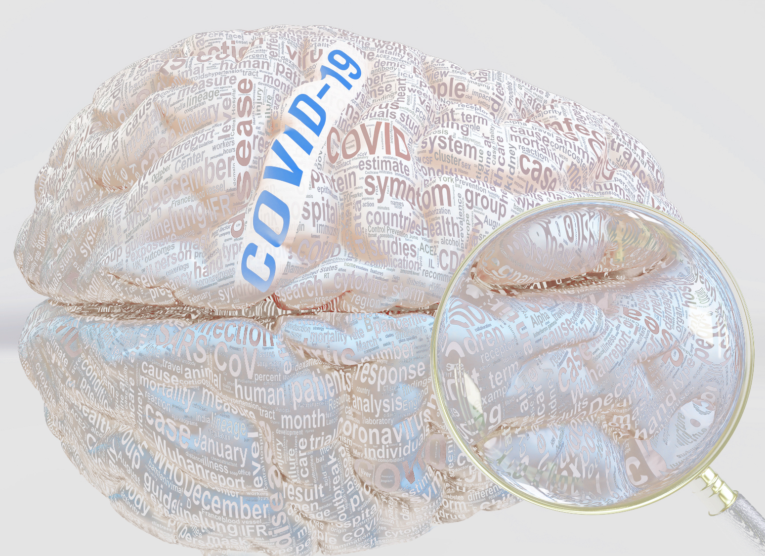 Taking a Look at Brain Injuries Correlated to Covid-19