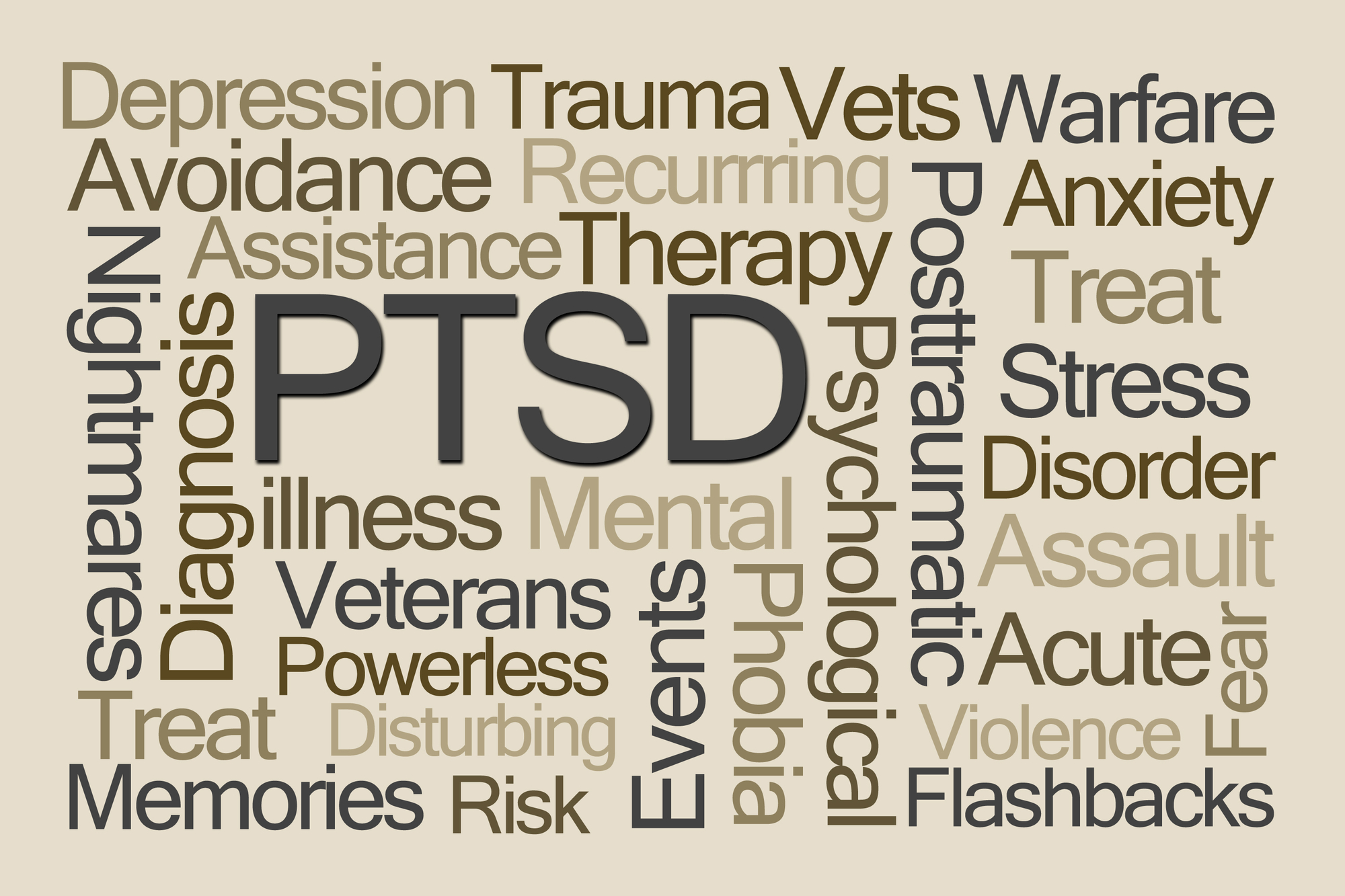 Highlighting Important Details About Post-Traumatic Stress Disorder (PTSD)